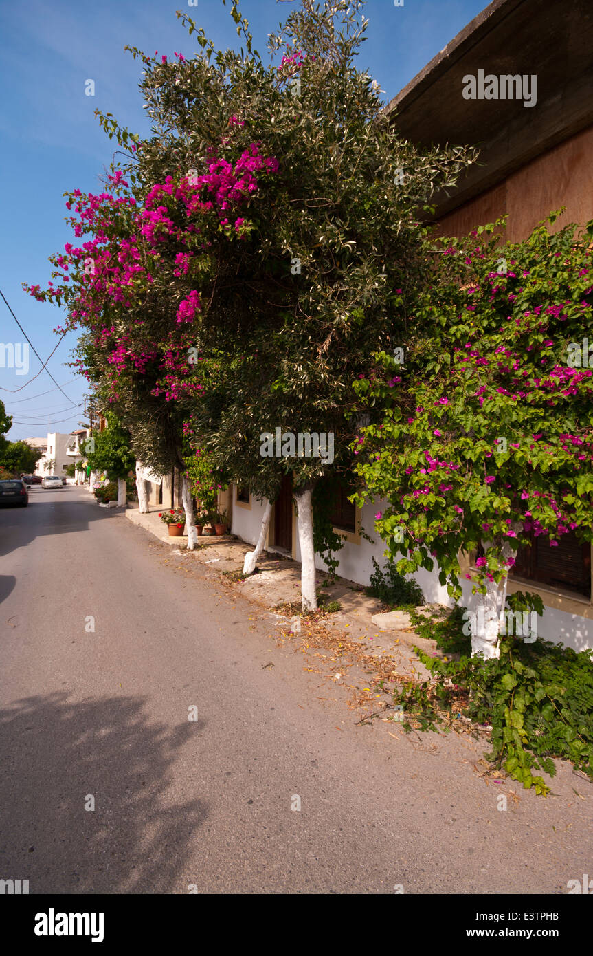 Street Scene Of The Traditional Cretian Village Of Panormo Stock Photo ...