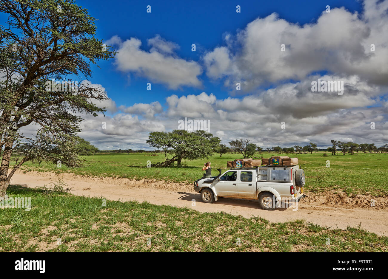 4x4 car in landscape of Kgalagadi Transfrontier Park, Kalahari, South ...
