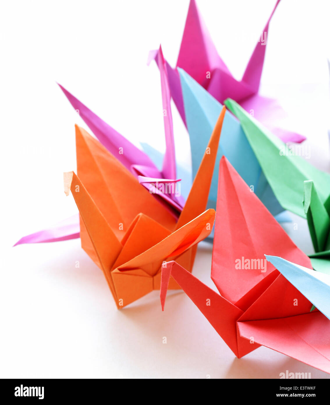 colorful paper origami birds on a white background Stock Photo - Alamy