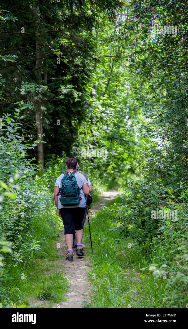 Ambling hi-res stock photography and images - Alamy