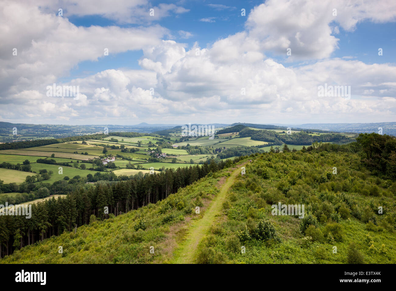 The view along Callow Hill and Wenlock Edge from Flounders' Folly, near ...