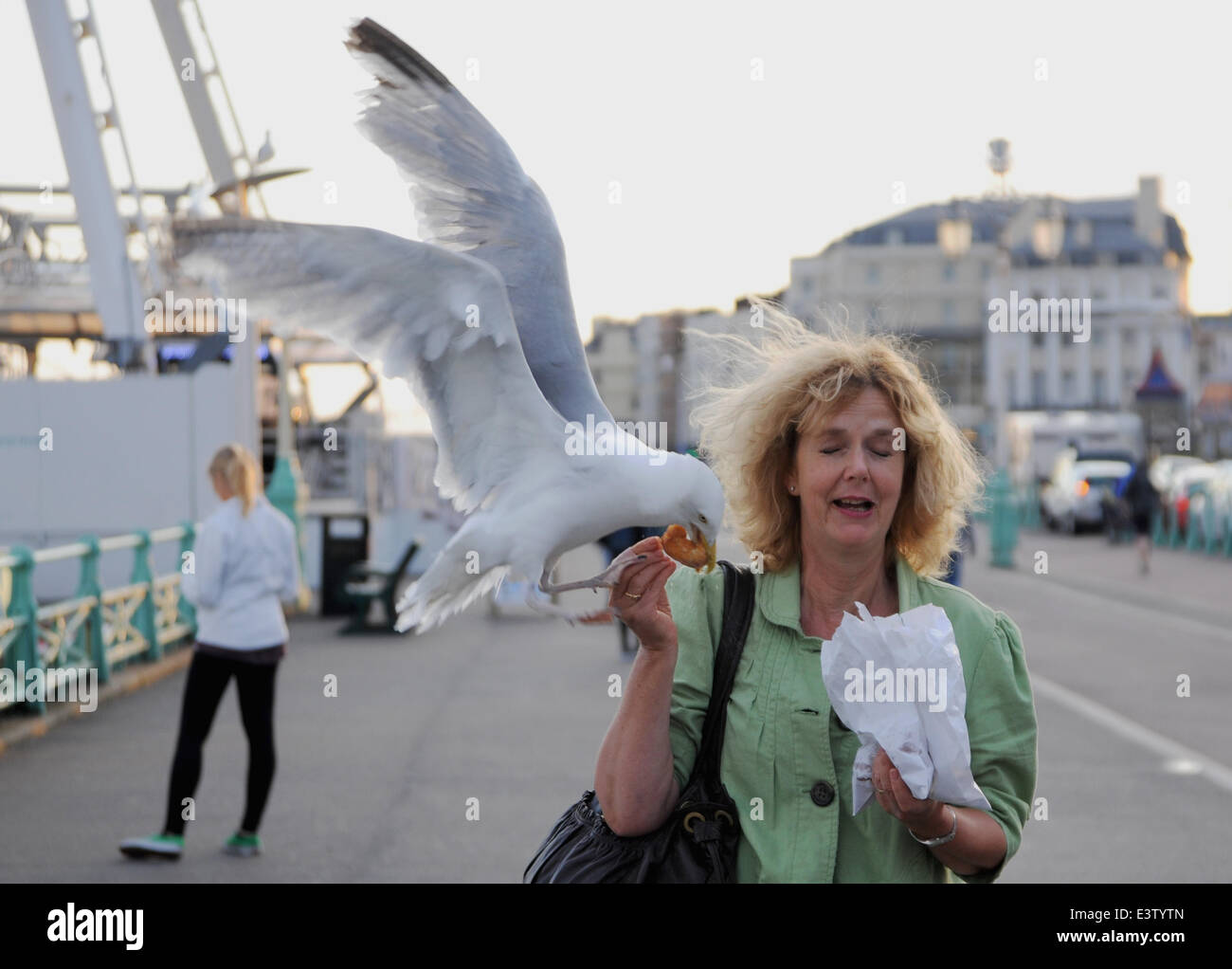 Seagull stealing food hi-res stock photography and images - Alamy