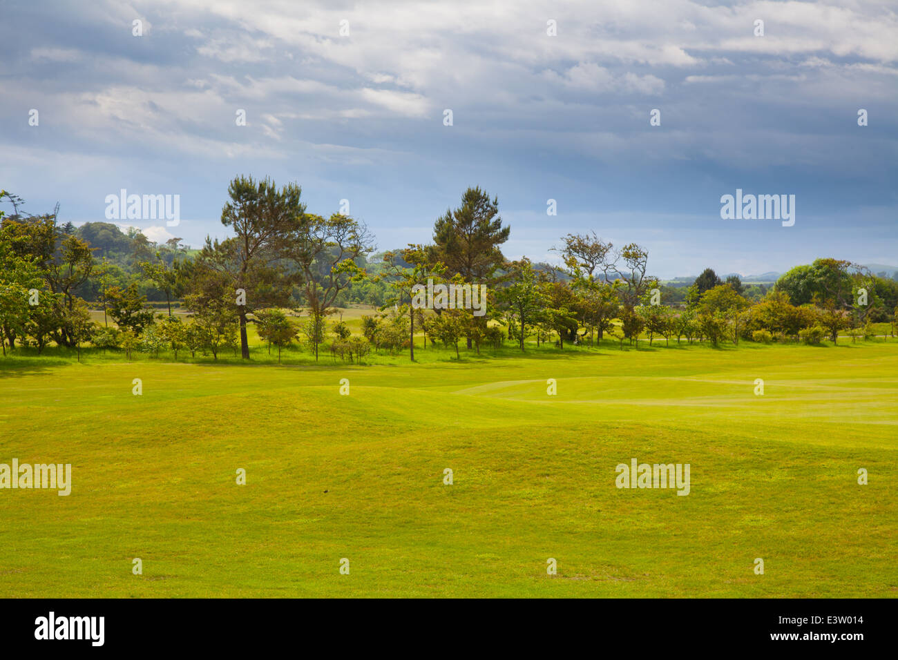 Golf course trees Stock Photo - Alamy