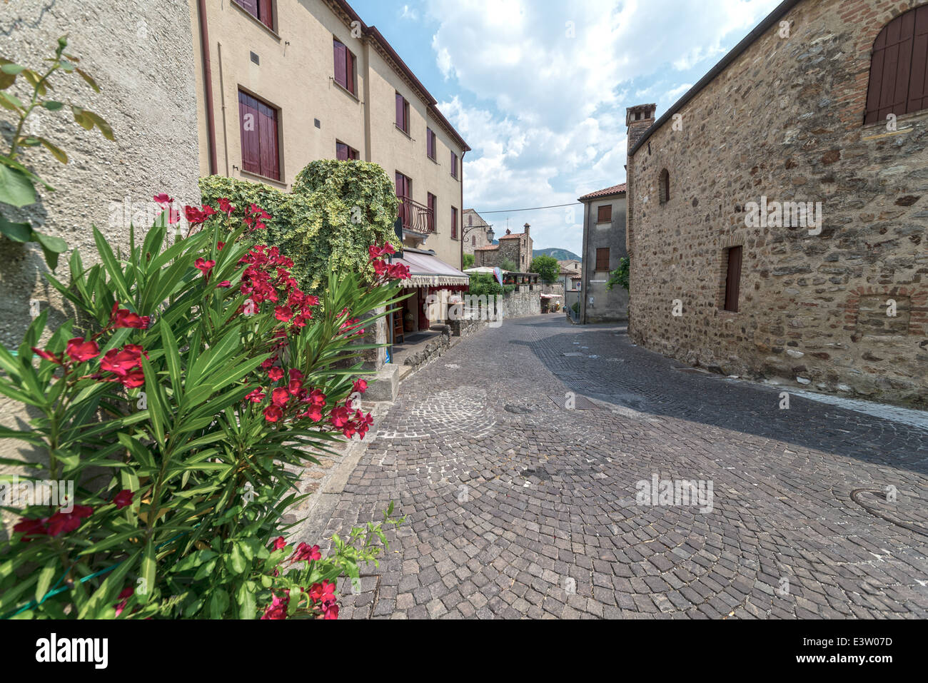 Petrarch hi-res stock photography and images - Alamy