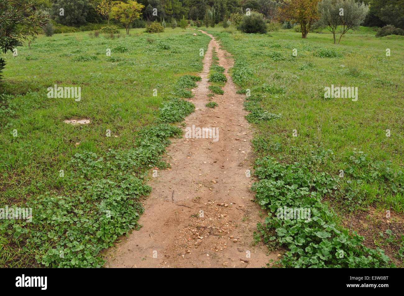 Muddy path through forest nature abstract winter landscape Stock Photo ...