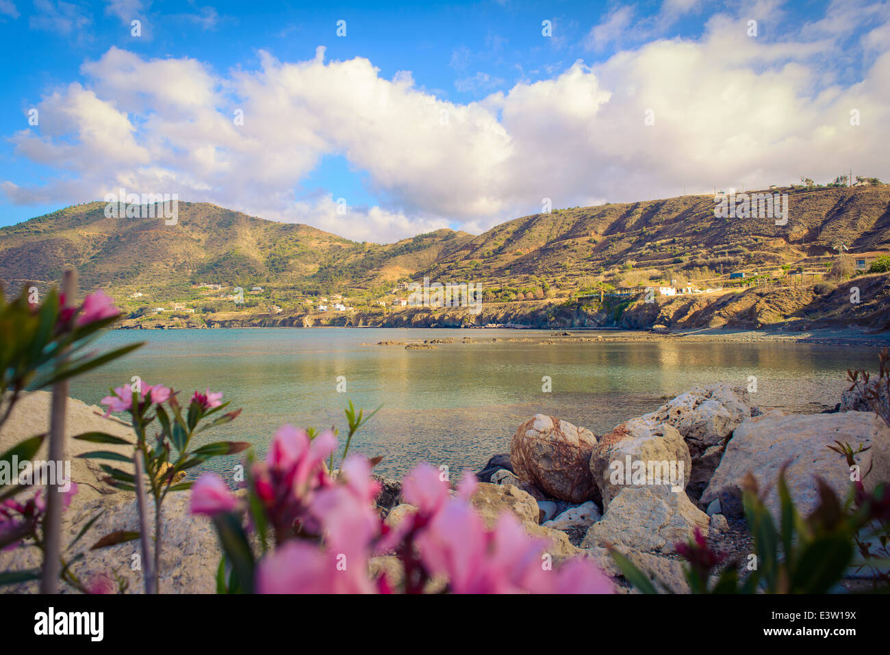 Sea view with flowers Stock Photo - Alamy