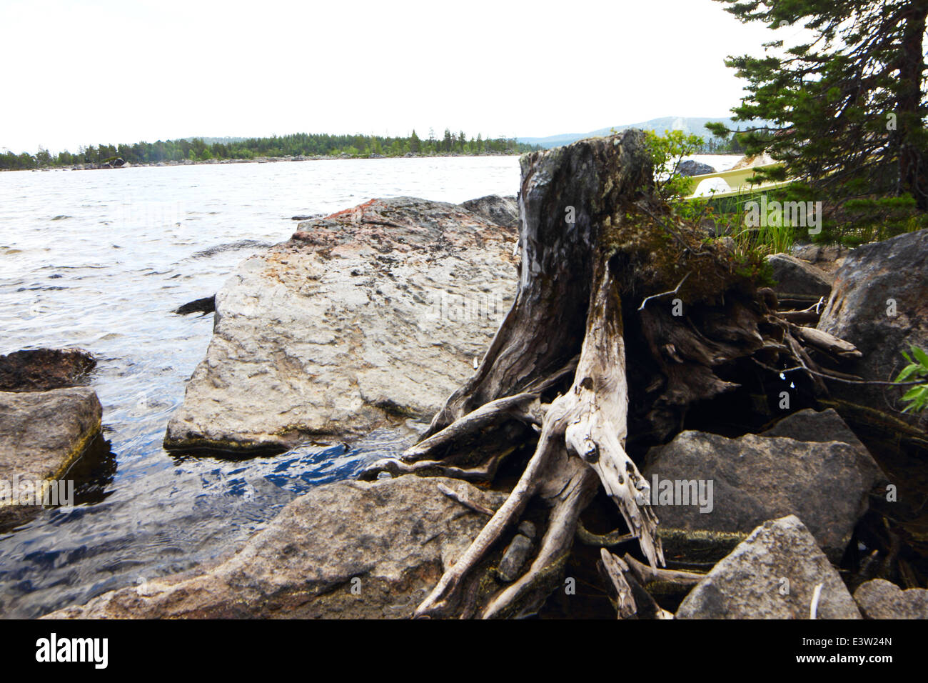 Beautiful landscape with lake shore, stones and pines Stock Photo - Alamy