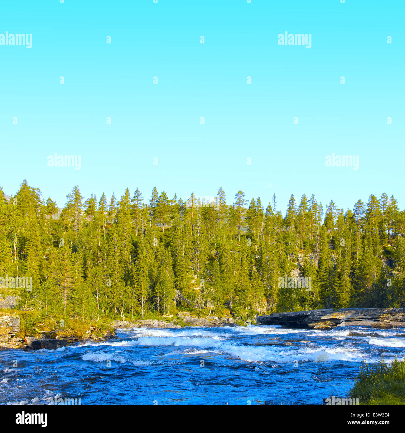 Wild glacier river in summer sunny day, Norway Stock Photo - Alamy