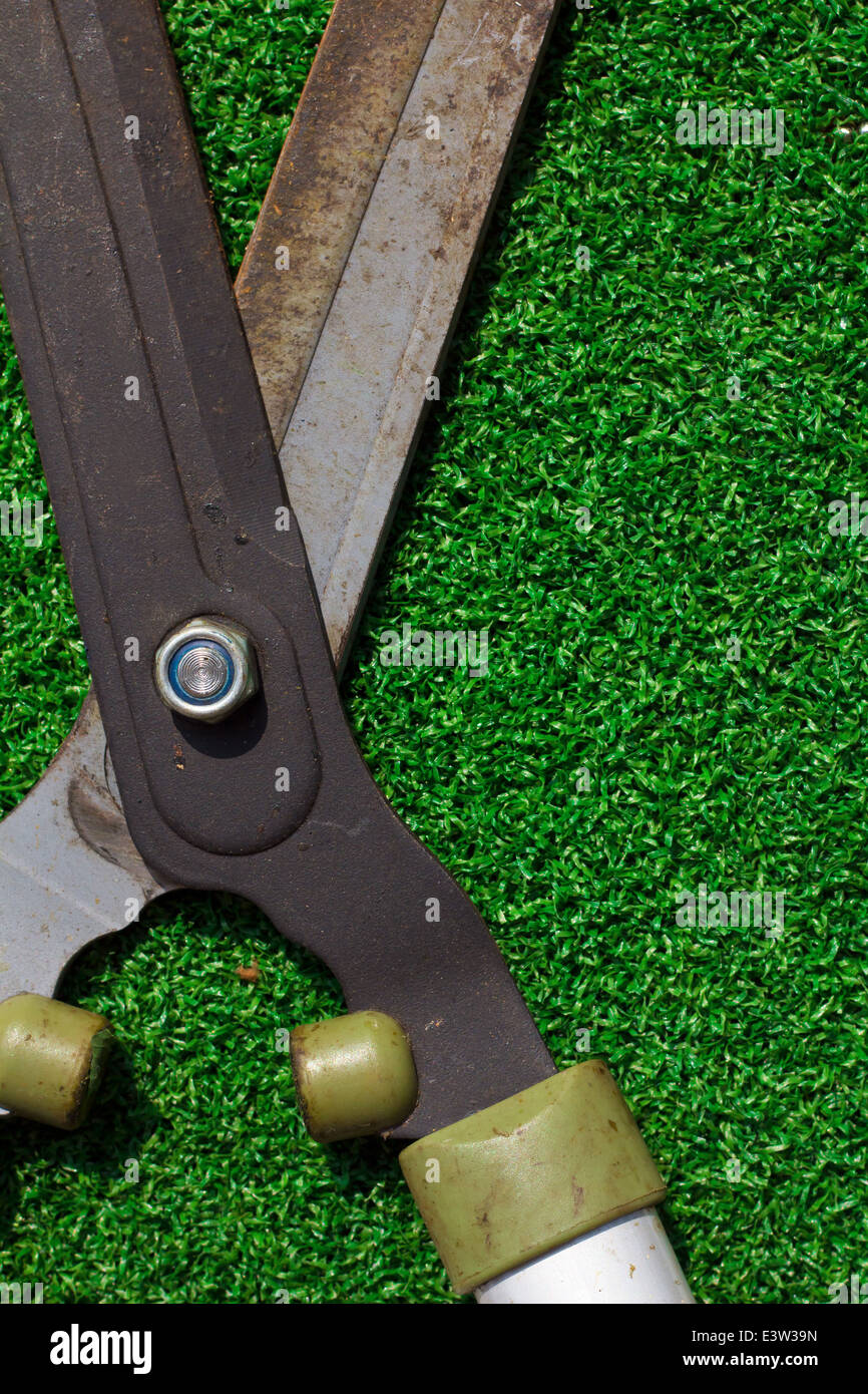 Scissors cut the grass Stock Photo - Alamy