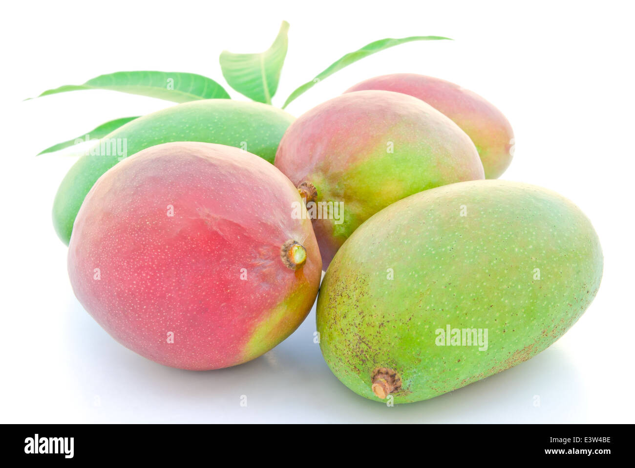 red and green mangos with clipping path Stock Photo - Alamy