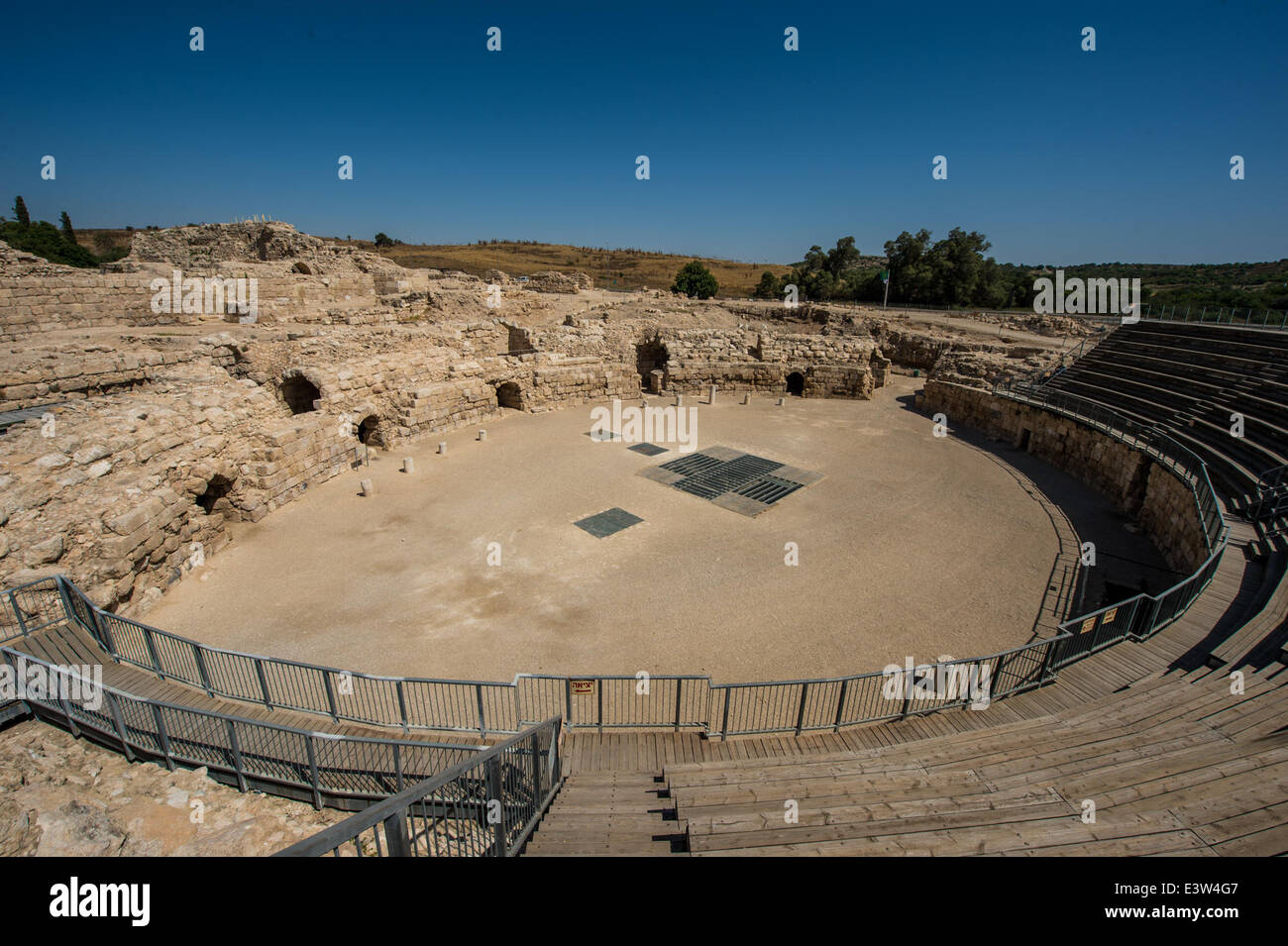 Roman gladiators animals hi-res stock photography and images - Alamy