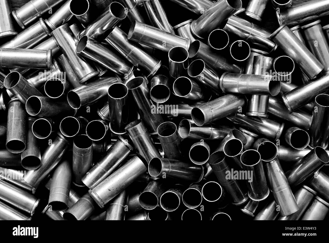 Shiny shell Black and White Stock Photos & Images - Alamy