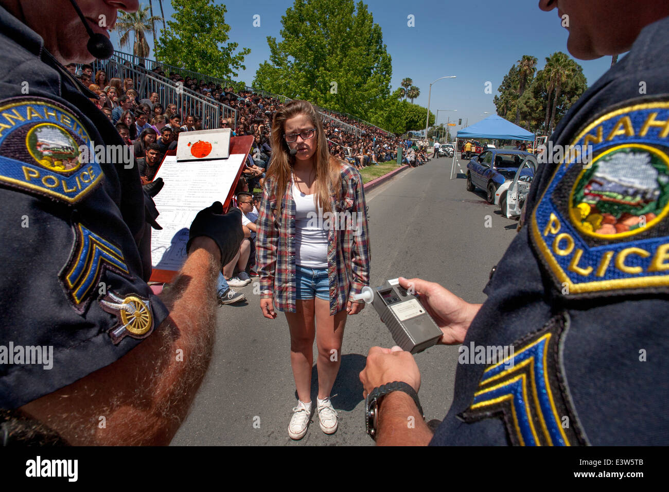 Driving while intoxicated dwi school hi-res stock photography and ...