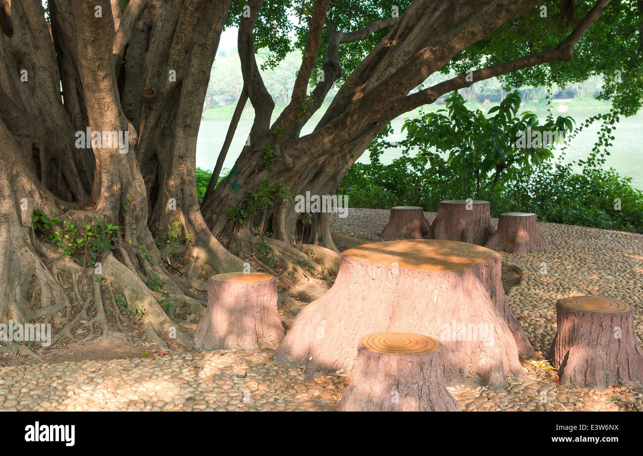 seats under a tree in a park Stock Photo - Alamy