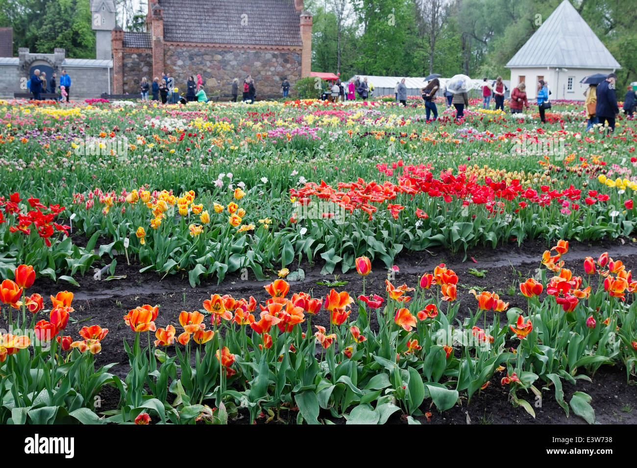 Lithuanian Village People High Resolution Stock Photography and Images ...