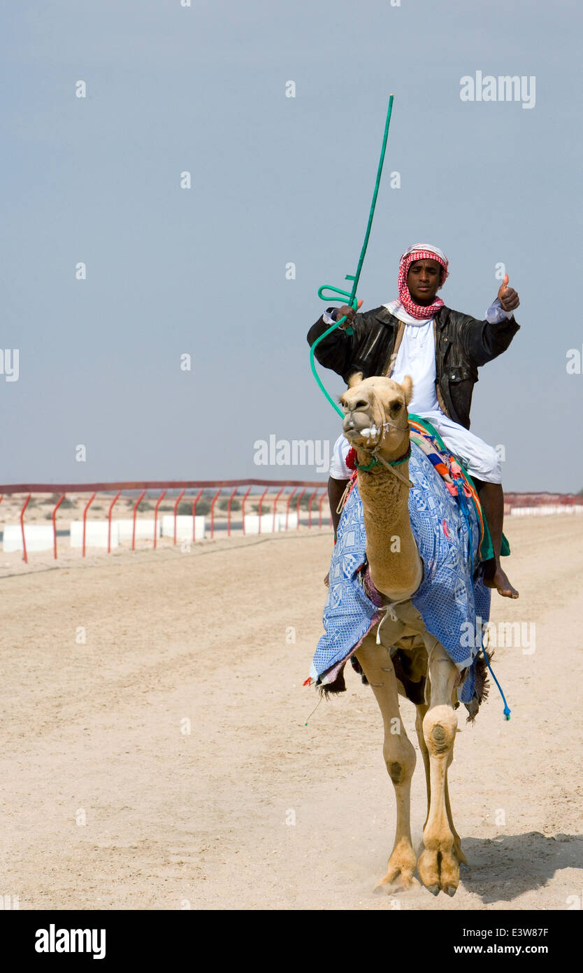 Camel racing qatar hi-res stock photography and images - Alamy