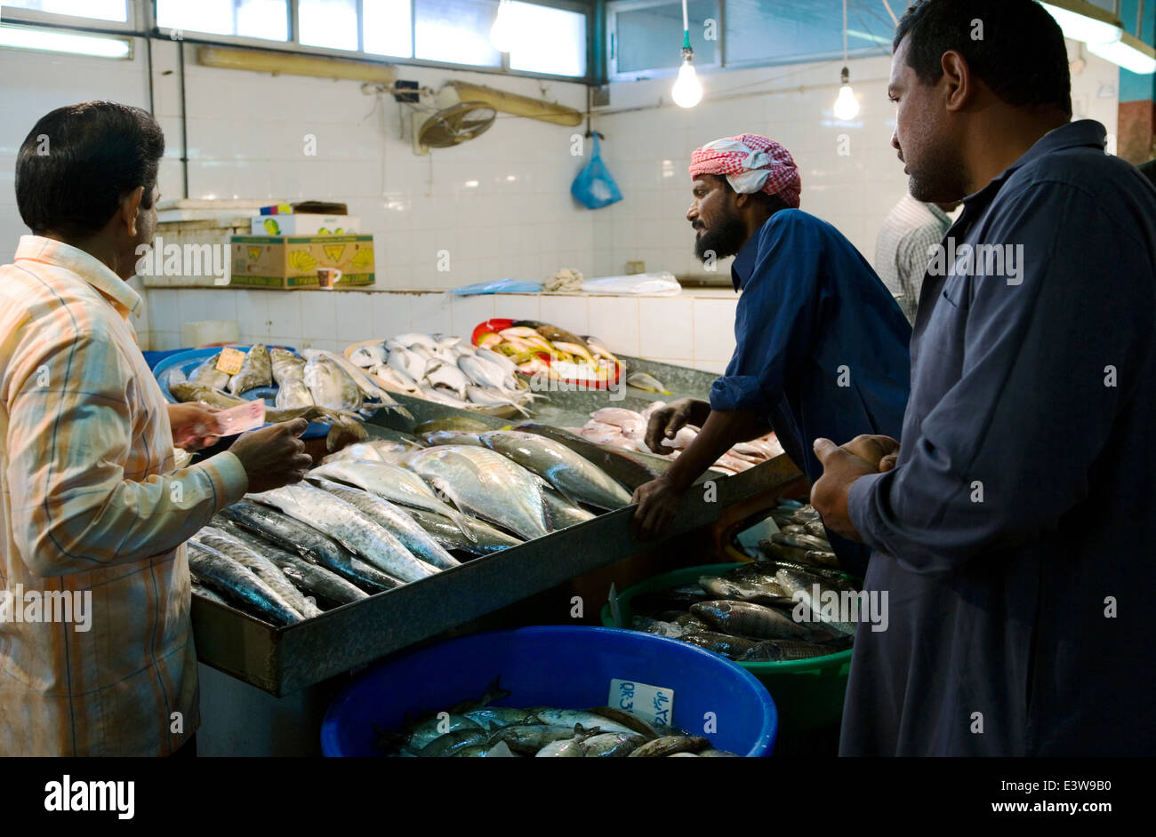 Fish of qatar hi-res stock photography and images - Alamy