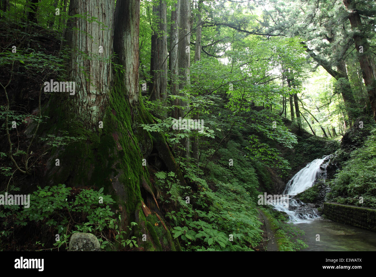 Tochigi Prefecture, Japan Stock Photo - Alamy
