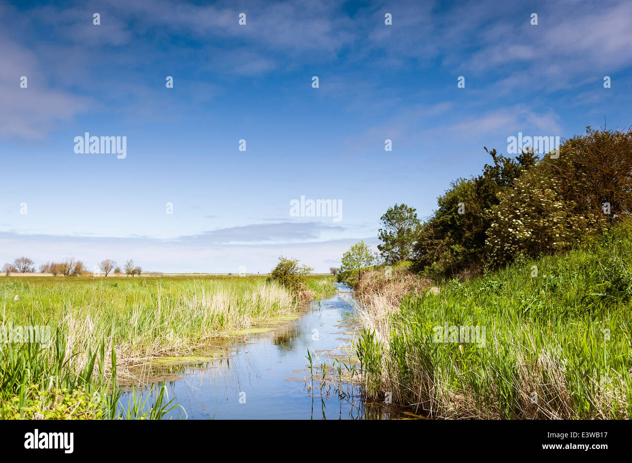 Norfolk countryside around Cley Next the Sea Stock Photo - Alamy