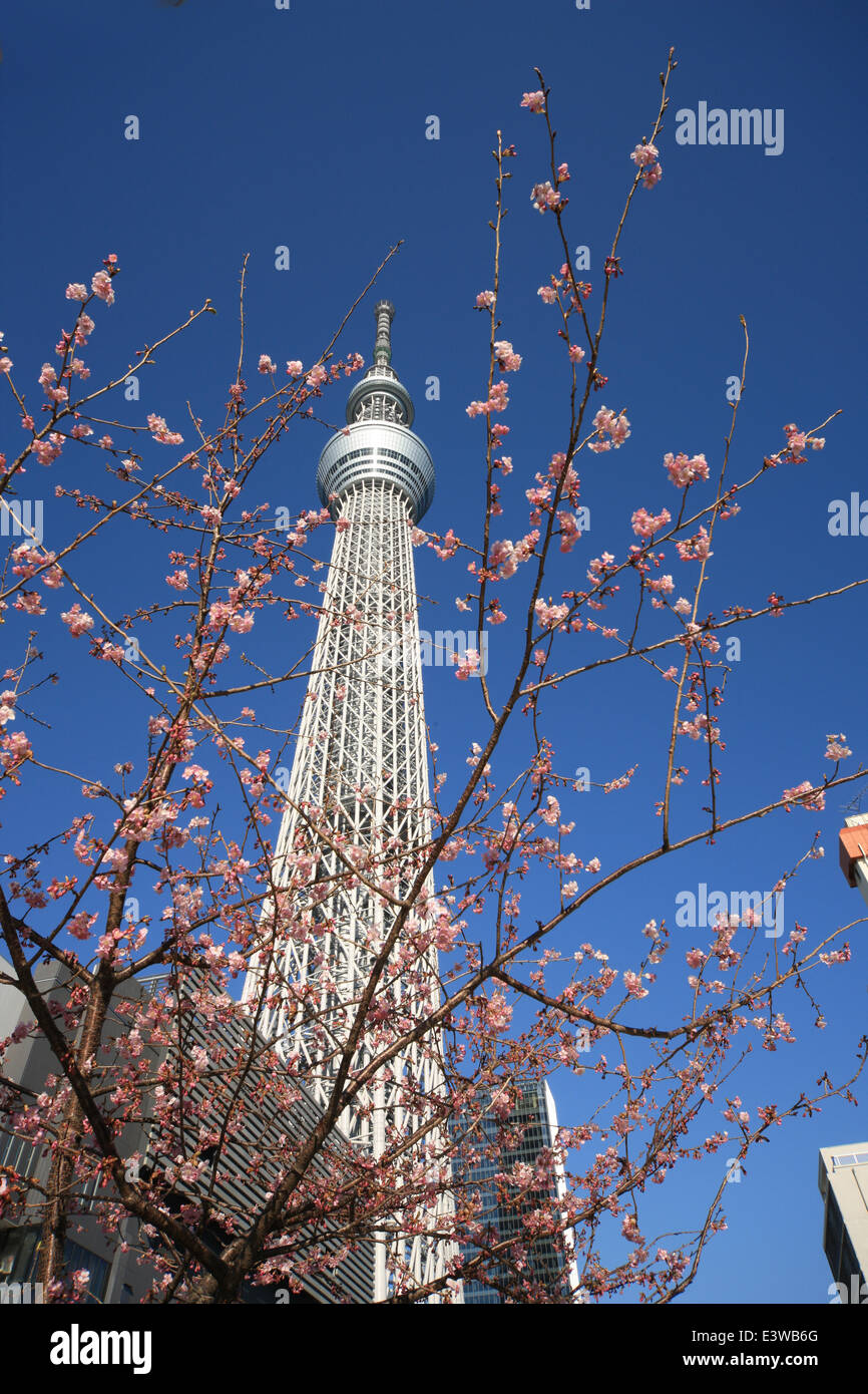 Tobu skytree hi-res stock photography and images - Alamy