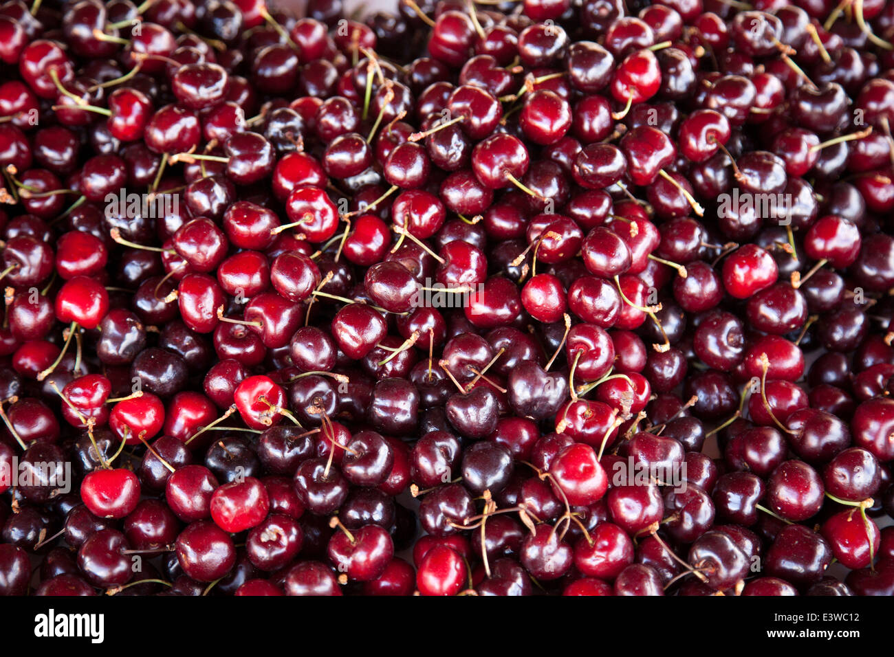 a lot of shiny cherries Stock Photo - Alamy
