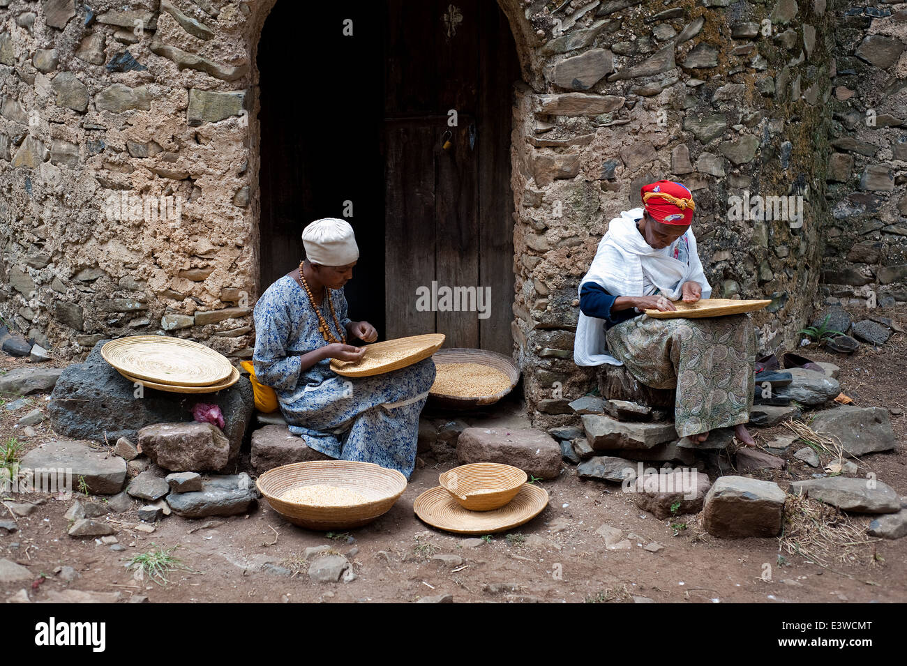 Women selecting "tef" ( an indigenous grain cultivated as a cereal ...