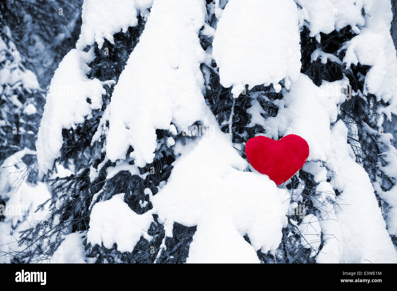 Love winter concept Stock Photo - Alamy