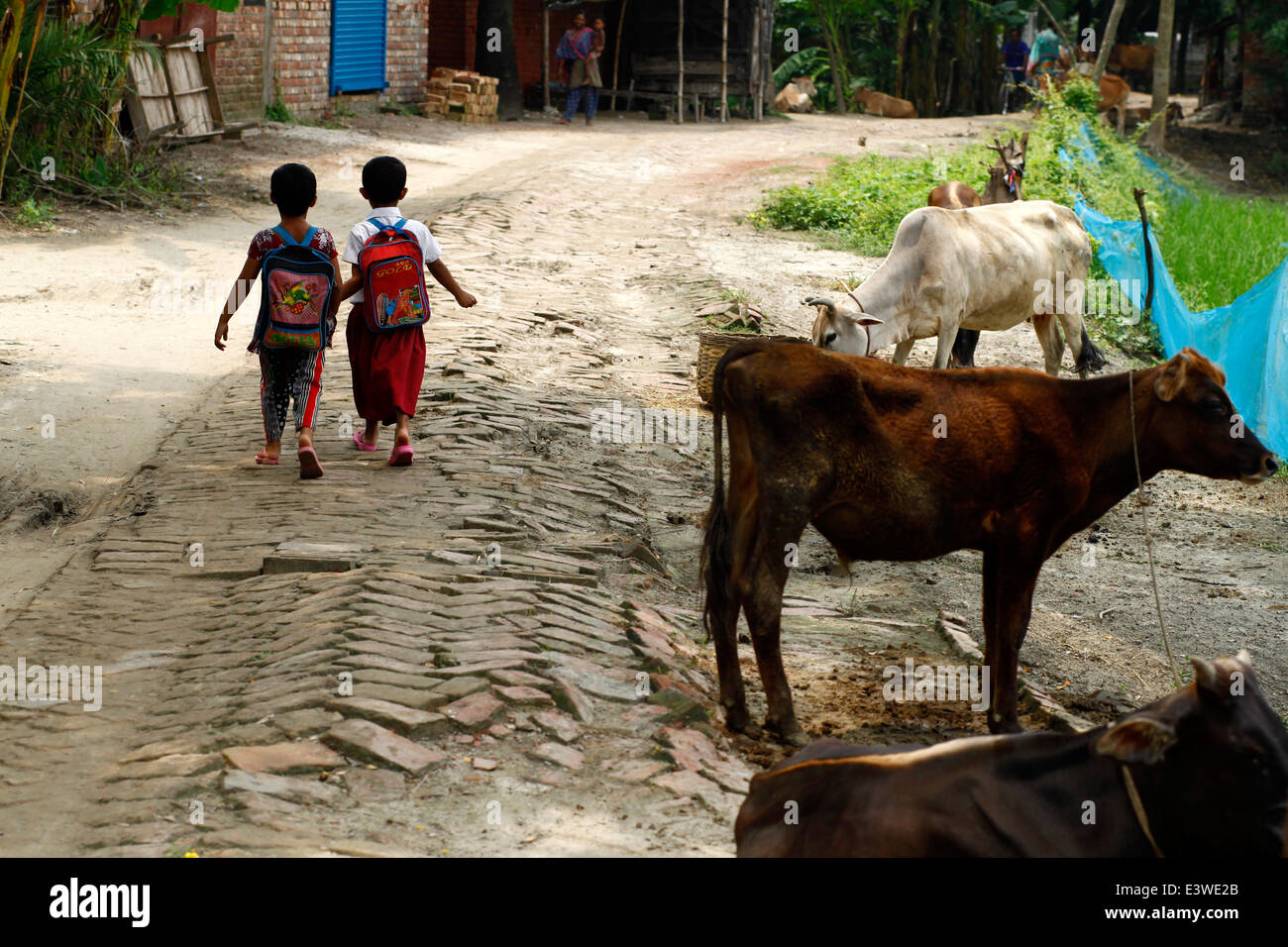Schoold children back home after school by walking.Primary education is ...