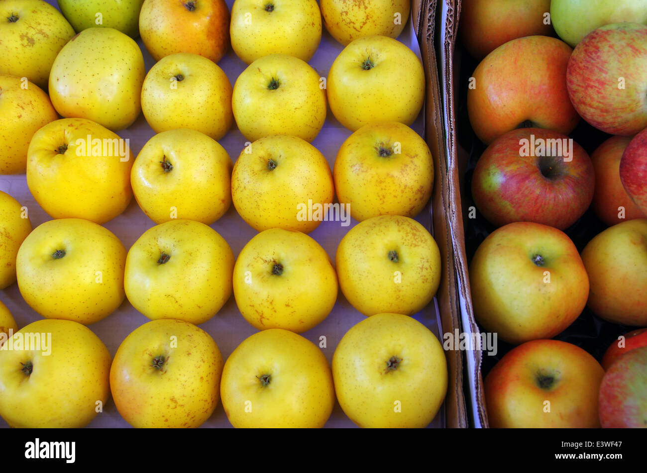 Yellow and red apples displayed in a fruit market Stock Photo - Alamy