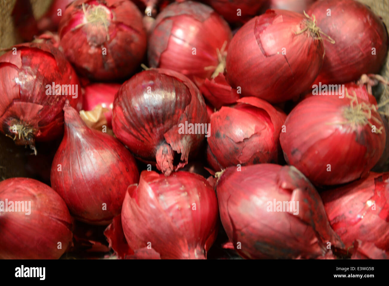 Purple onion onion onions healthy eating hi-res stock photography and ...
