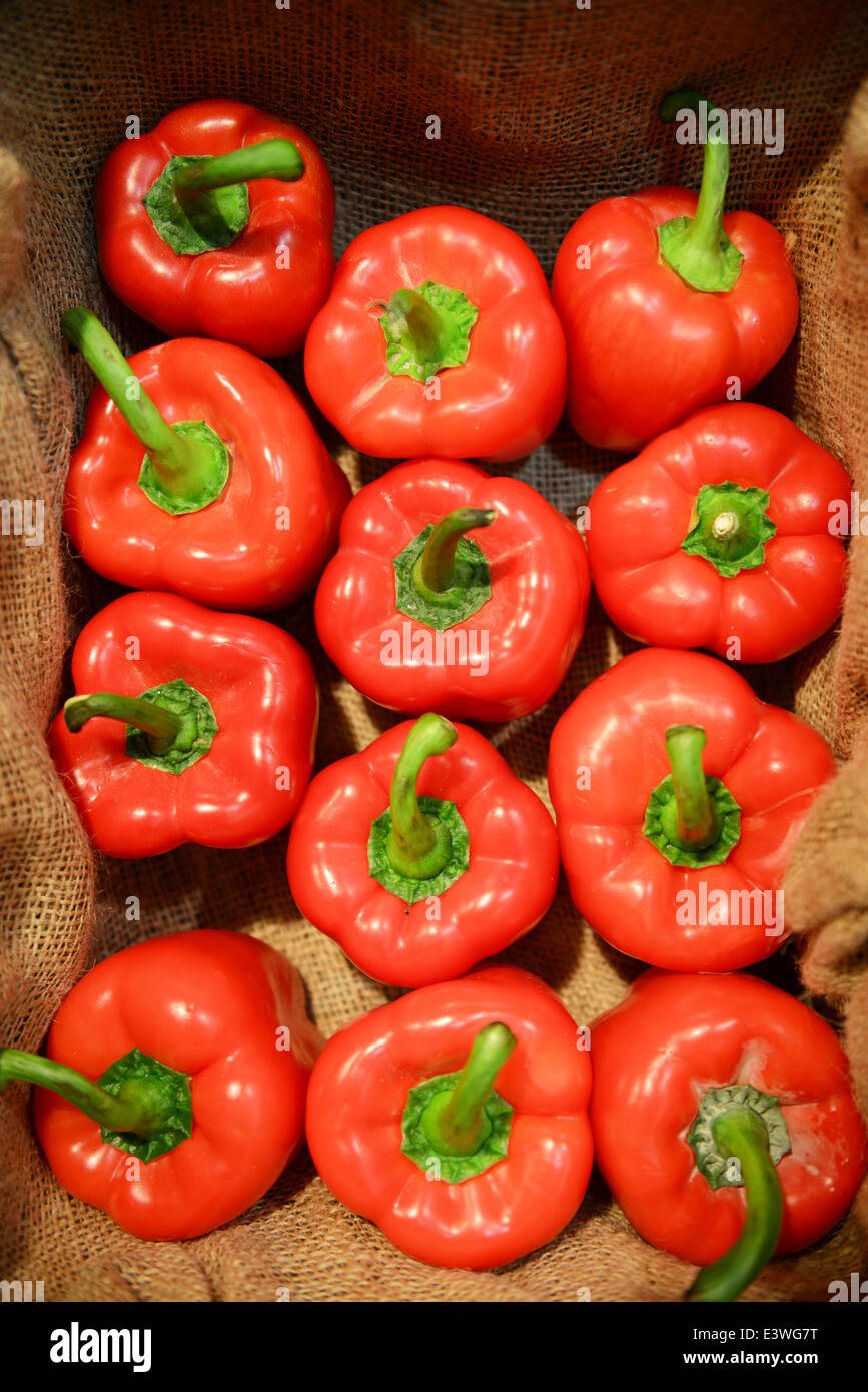 Red peppers (Capsicum Stock Photo - Alamy