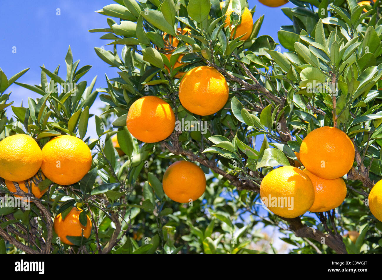 Skin elevation hi-res stock photography and images - Alamy