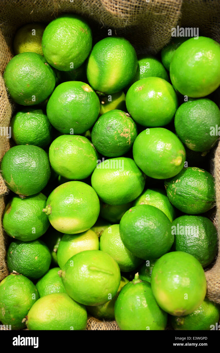 Green citrus fruit hi-res stock photography and images - Alamy