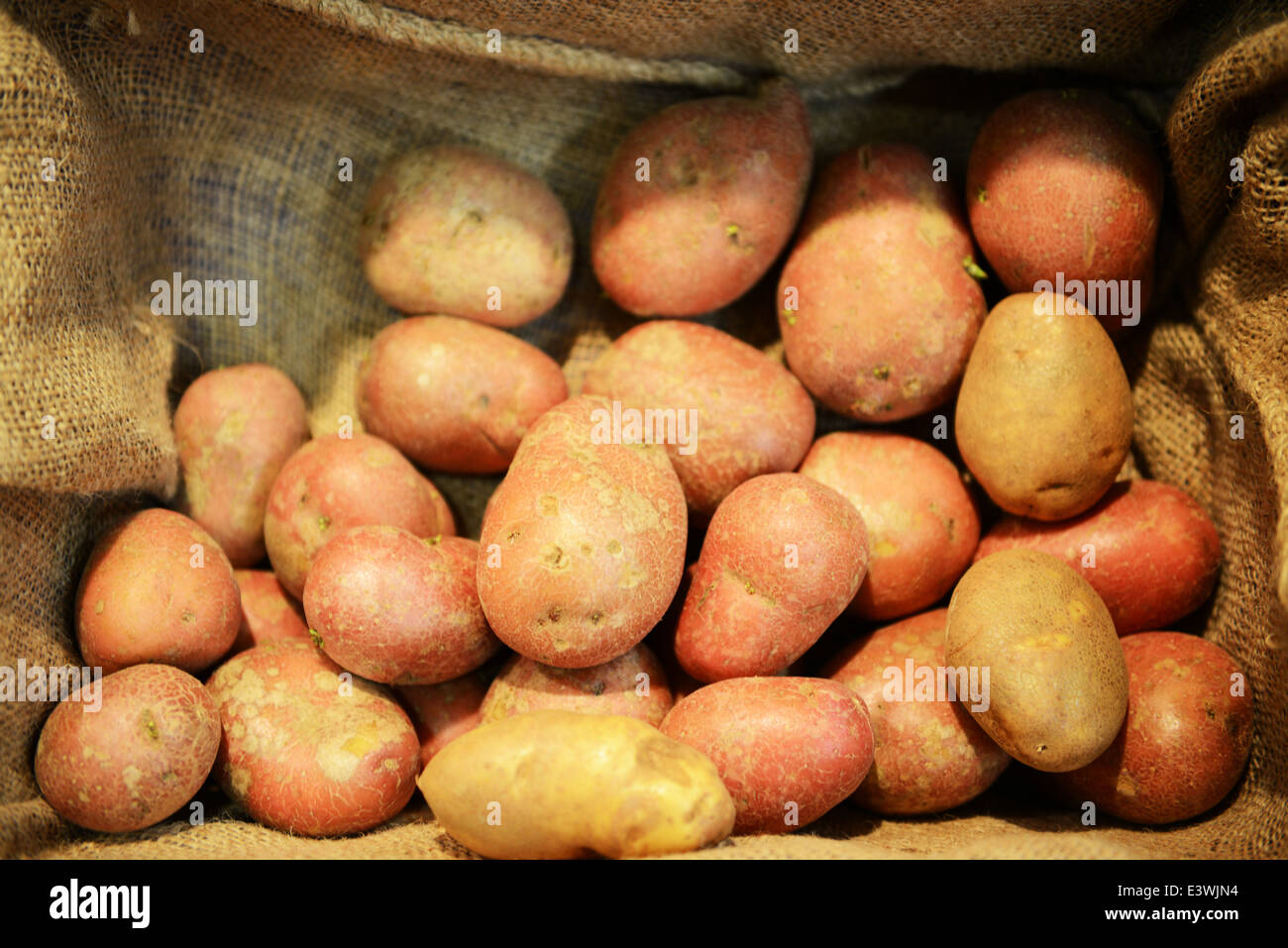 Rooster potato hi-res stock photography and images - Alamy
