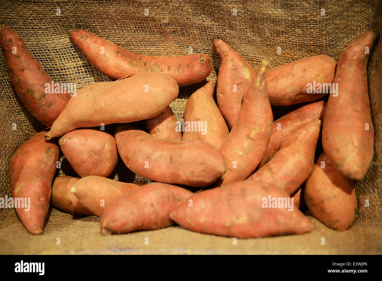 Rooster potato hi-res stock photography and images - Alamy