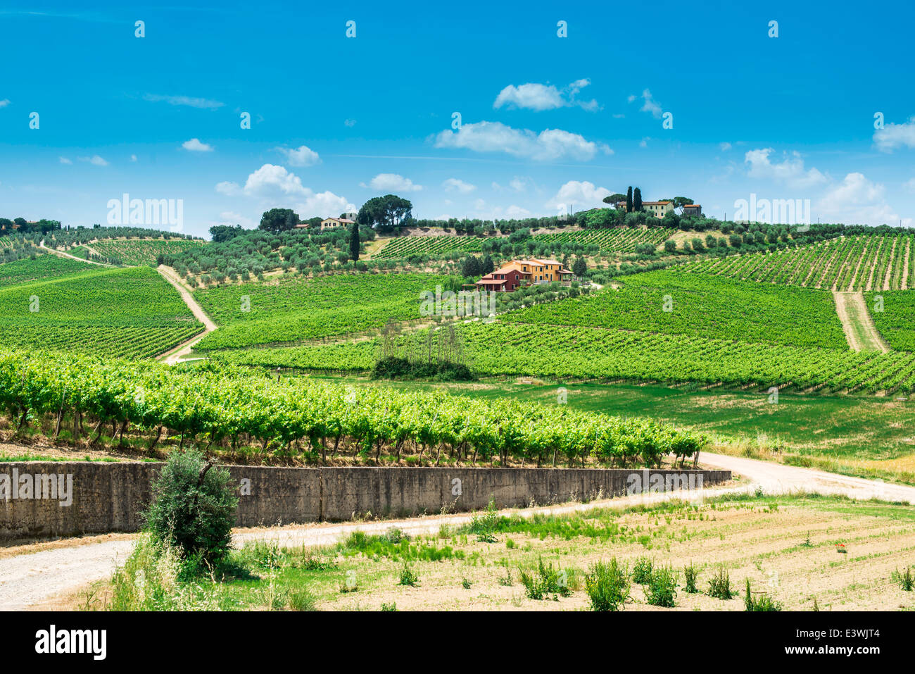 Vine plantations farmhouse in hi-res stock photography and images - Alamy
