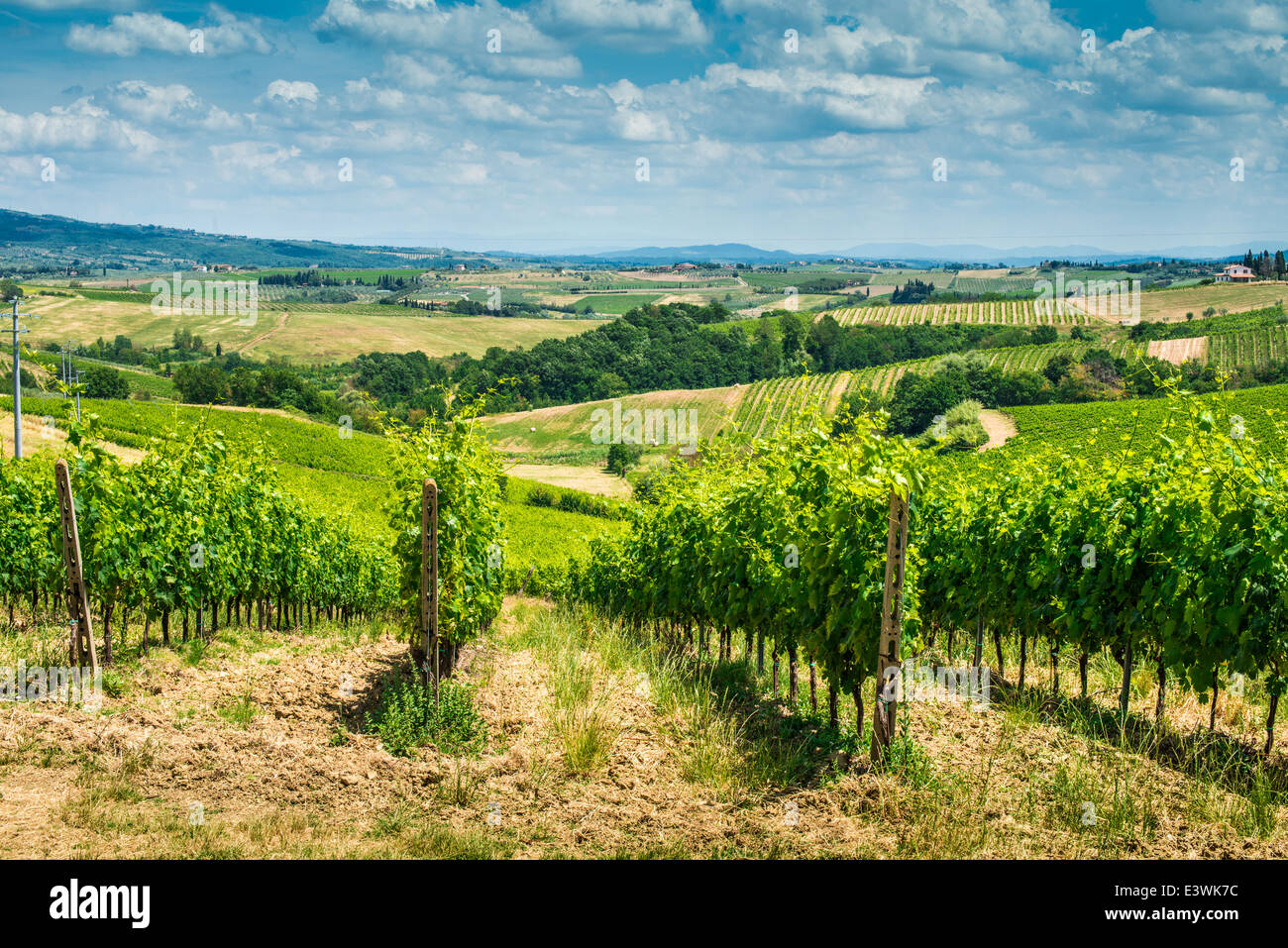 Vine plantations and farmhouse in Toscana, Italy Stock Photo - Alamy