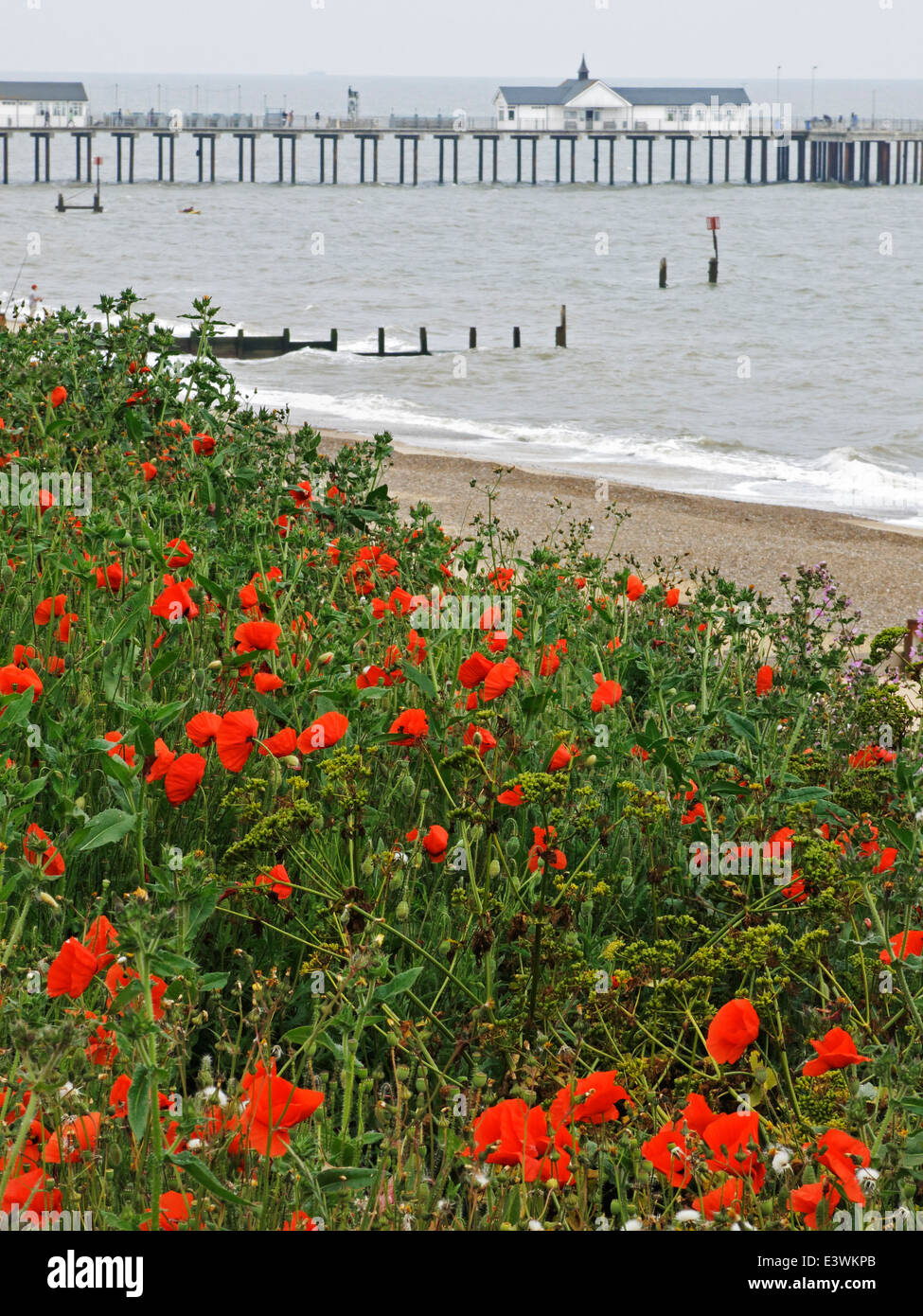 Southwold pier viewed from the cliff road Stock Photo - Alamy