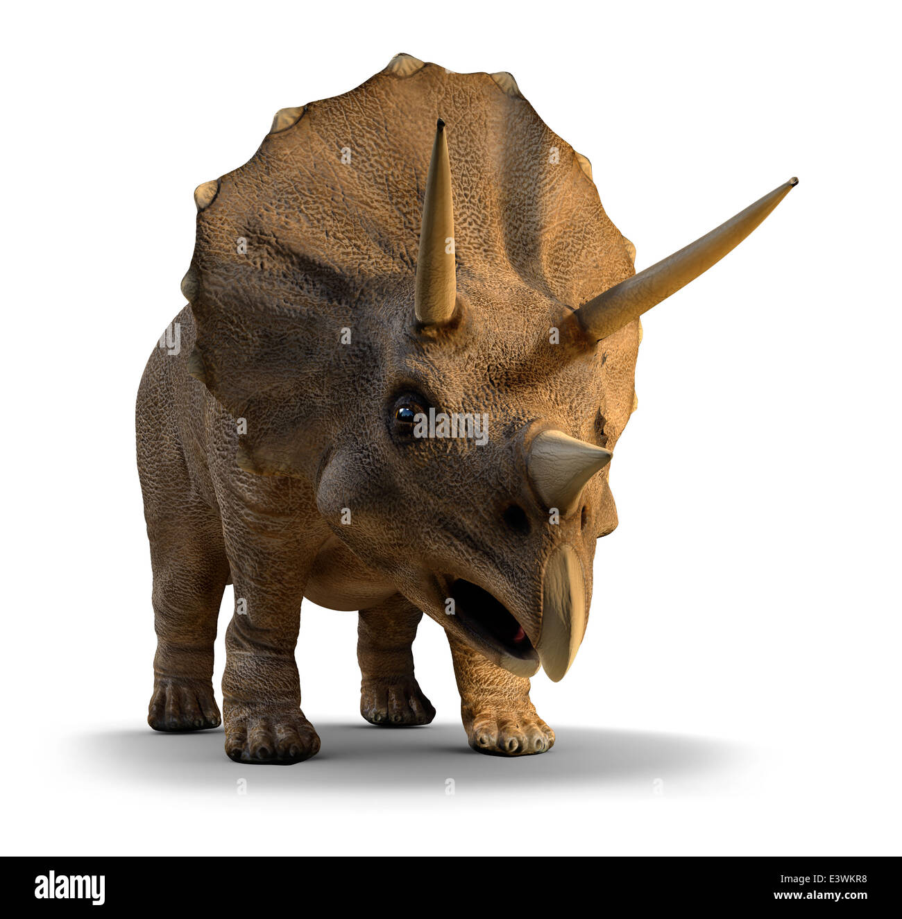 3d Triceratops front view Stock Photo - Alamy