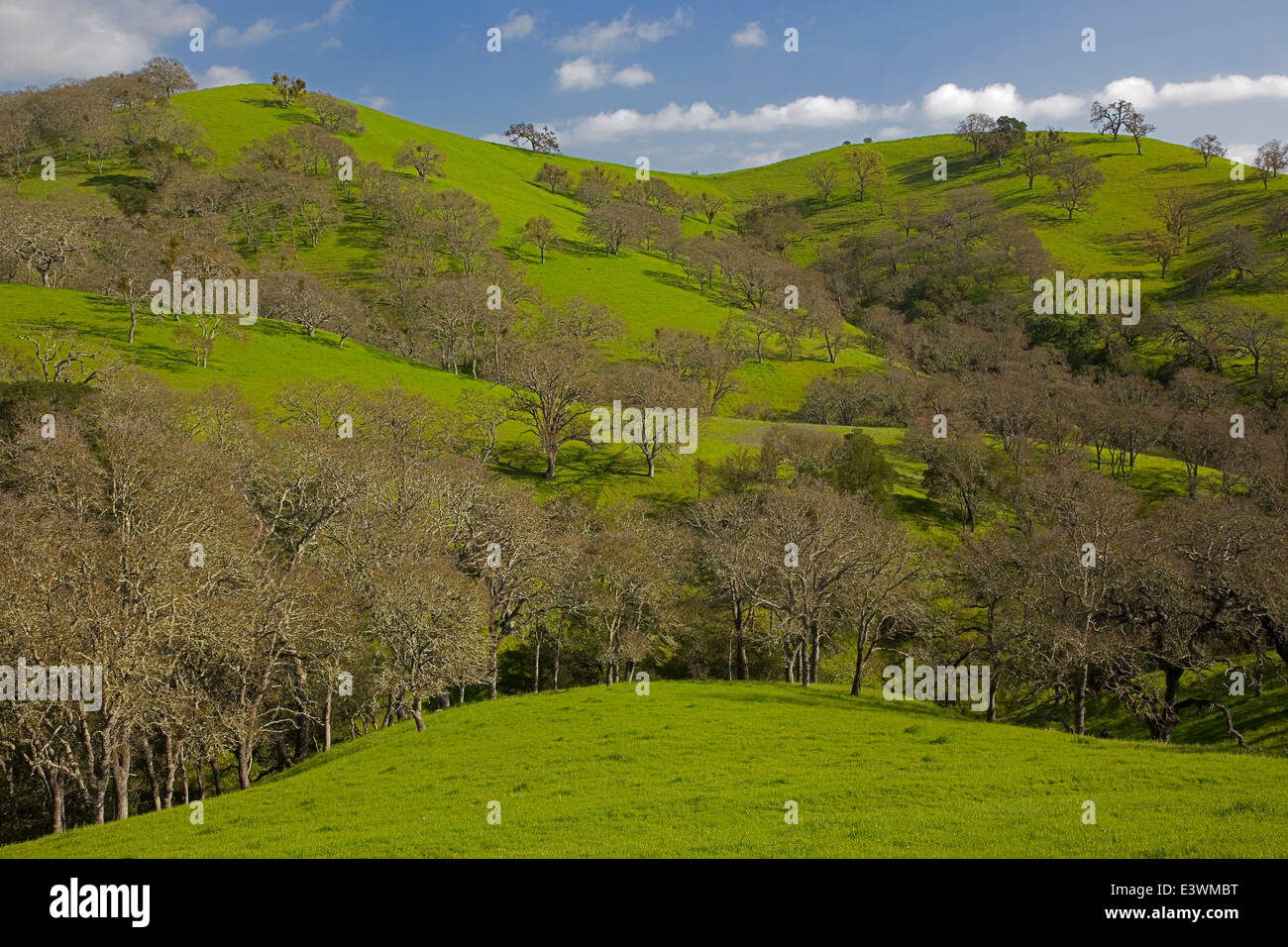 USA, California, San Francisco Bay Area, Contra Costa County, Mt Diablo ...