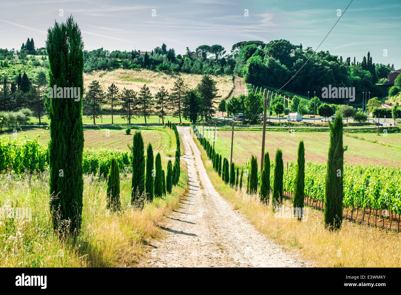 Toscana tree road hi-res stock photography and images - Alamy
