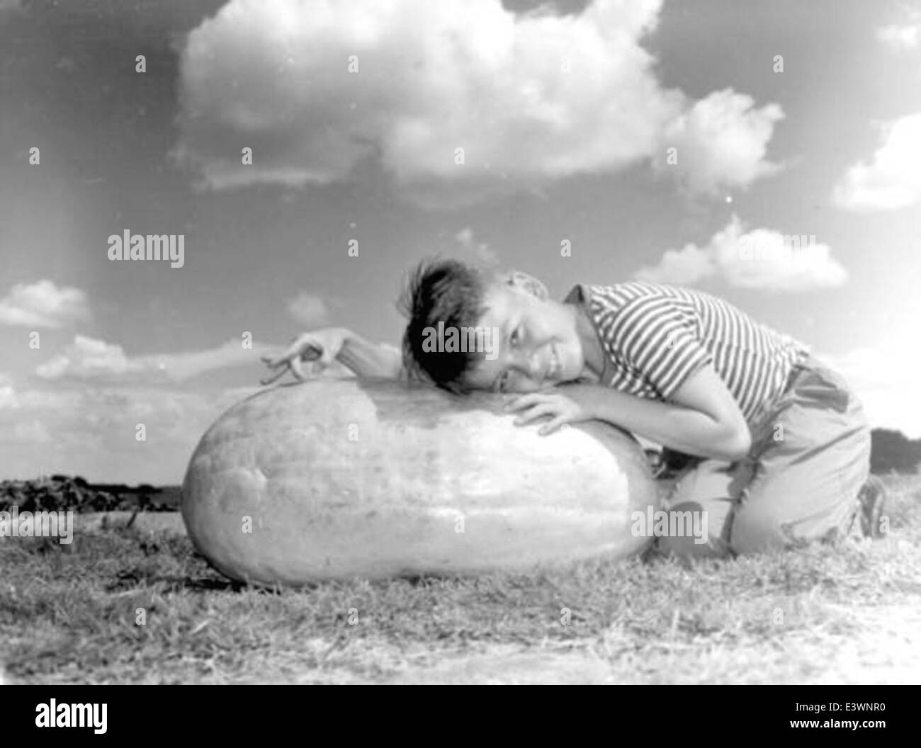 Watermelon agriculture Black and White Stock Photos & Images - Alamy