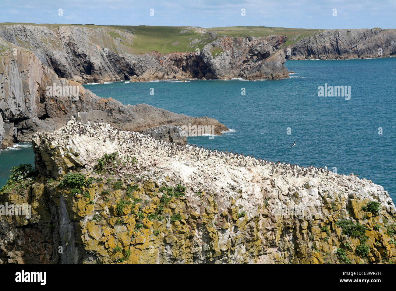The Stacks.looking east Castle Martin Pembrokeshire Wales UK Stock ...