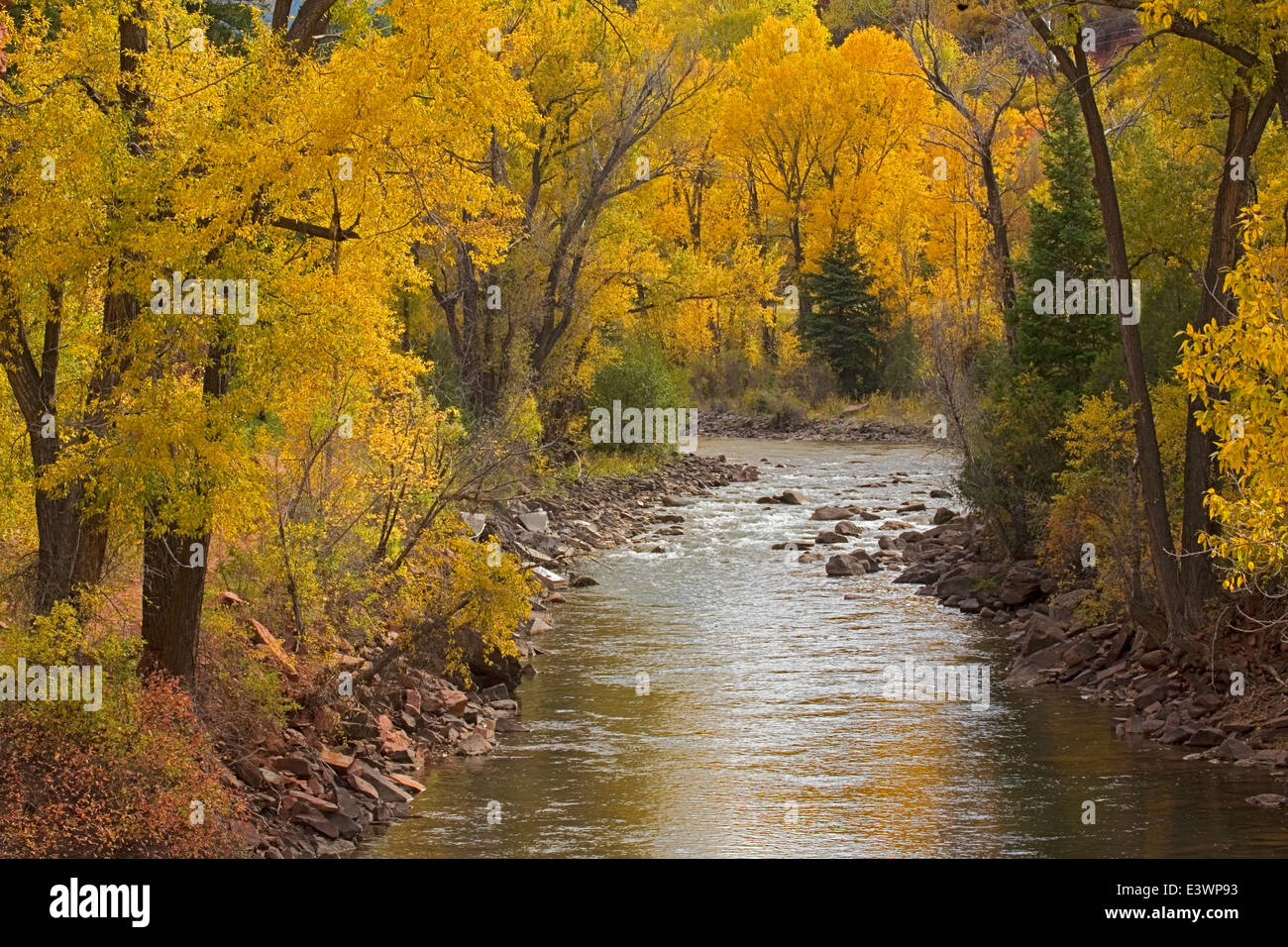 USA, Colorado, White River National Forest, Crystal River Stock Photo ...