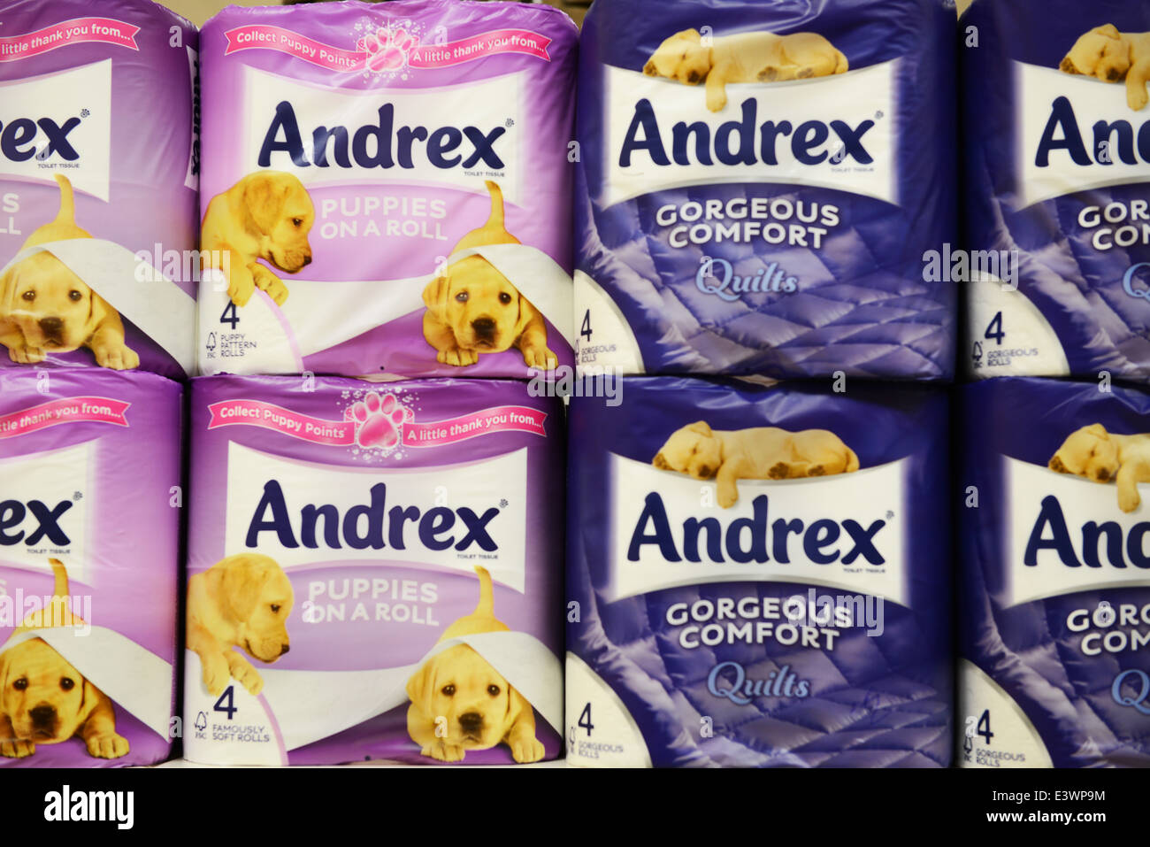 Andrex puppy toilet roll hi-res stock photography and images - Alamy