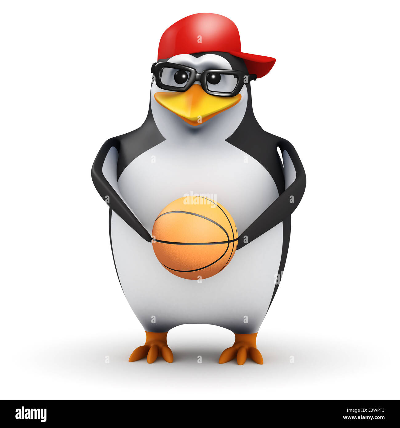 Basketball bird animal hi-res stock photography and images - Alamy