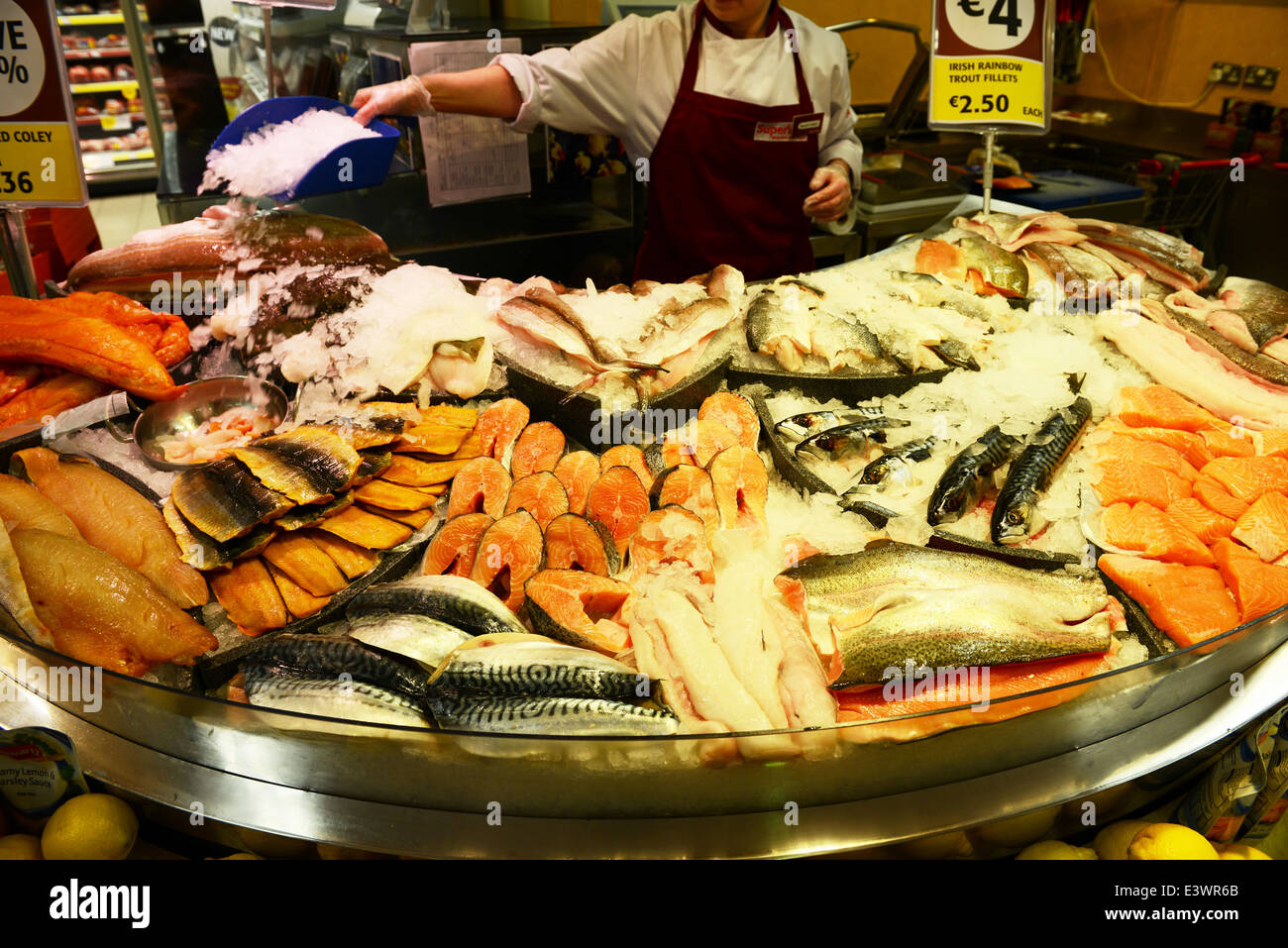 Seafood counter display hi-res stock photography and images - Alamy