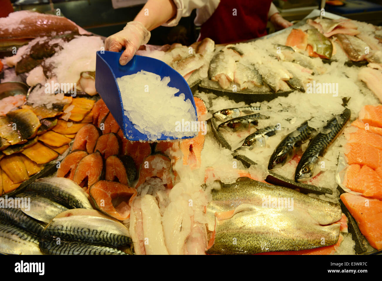 Fishmongers Fish Counter High Resolution Stock Photography and Images ...