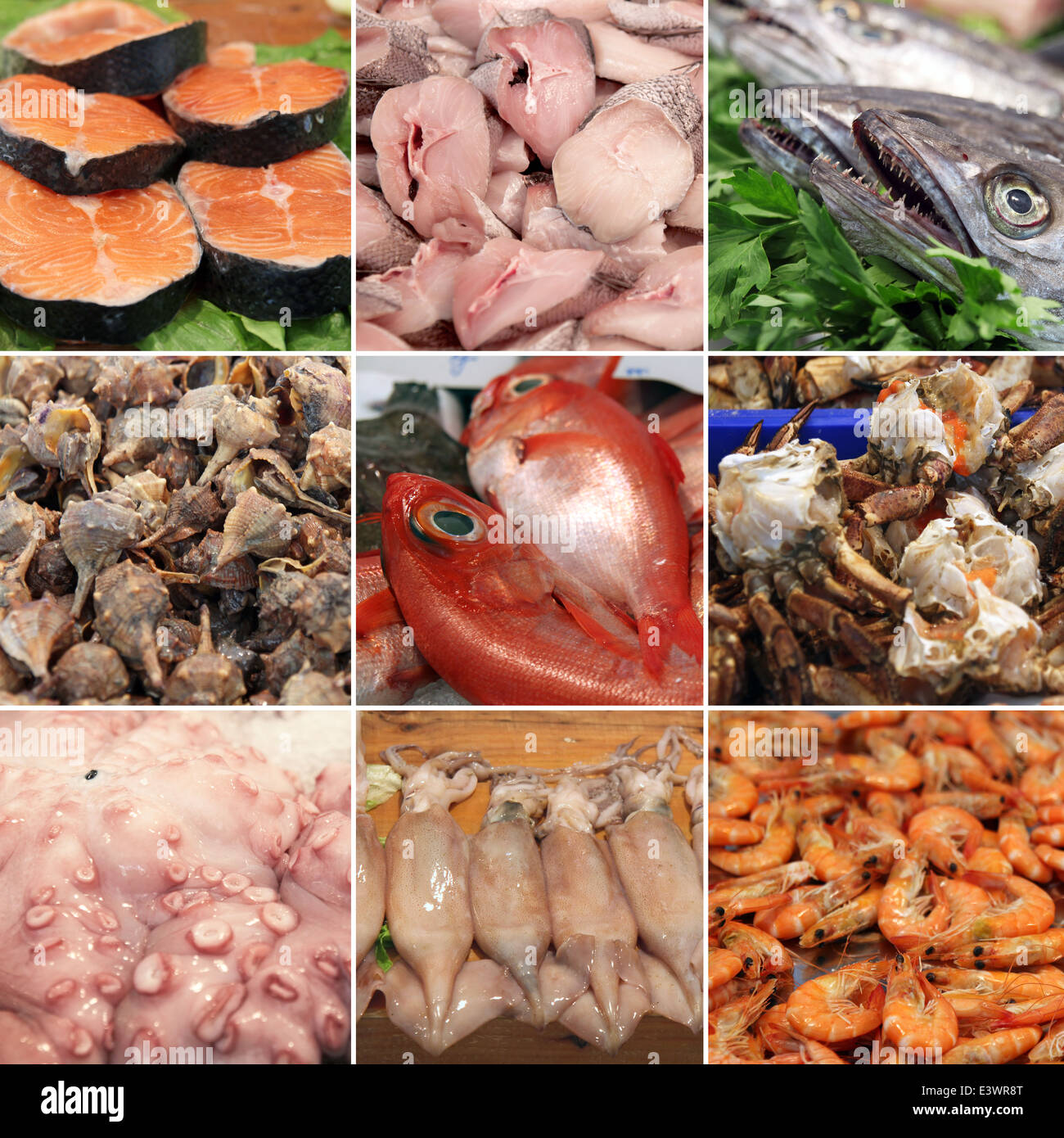 collection of fresh fish and seafood Stock Photo - Alamy