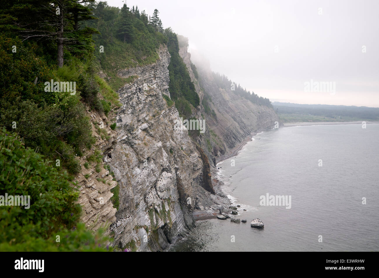 View north along the rugged cliffs at Cap-des-Rosiers in Forillon ...